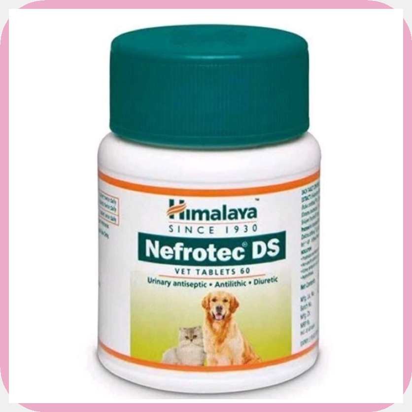Nefrotec&fg@DS>ZA%Tablet{ri"Immunol"e\and"g-Liv.52\A"Syrup | Shopee ...