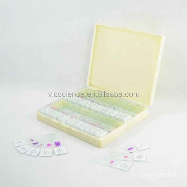 microscope prepared slides Human dental medical oral histology tooth ...