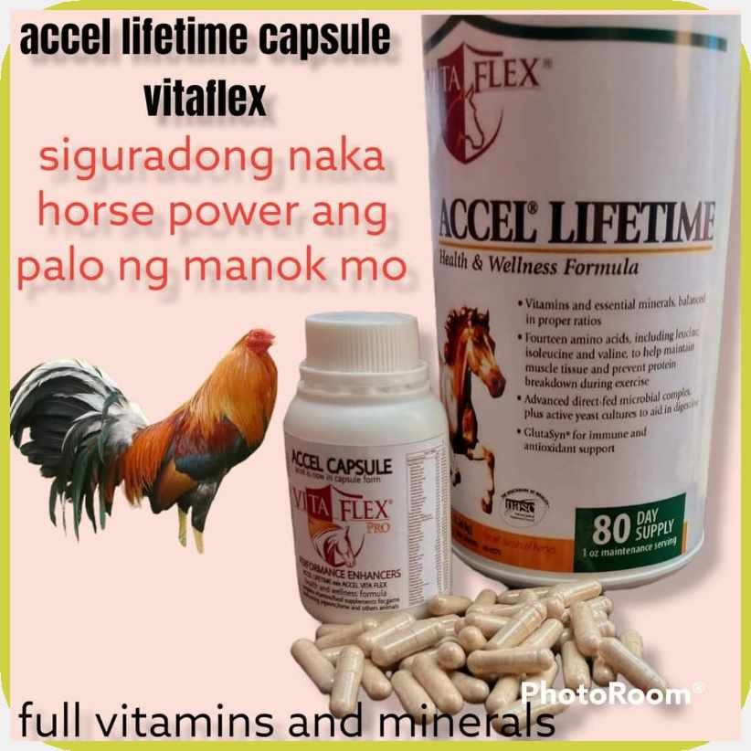 Accel~QA{lifetime!bm[capsule/vitaflex-Ripro-UNfor-kBgamefowl/pigeons ...