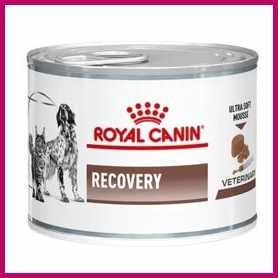 Royal]h[Canin|ke`SV;Recovery'B;Diet&Wet&Food&195g | Shopee Philippines