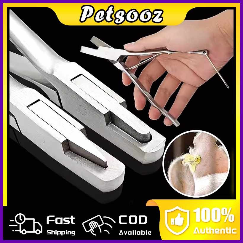 Pig_xa$EarYp!Notcher;ap&Stainless`iK&Steel`Xt&V`xt&Shaped`pf&Ear`yu ...