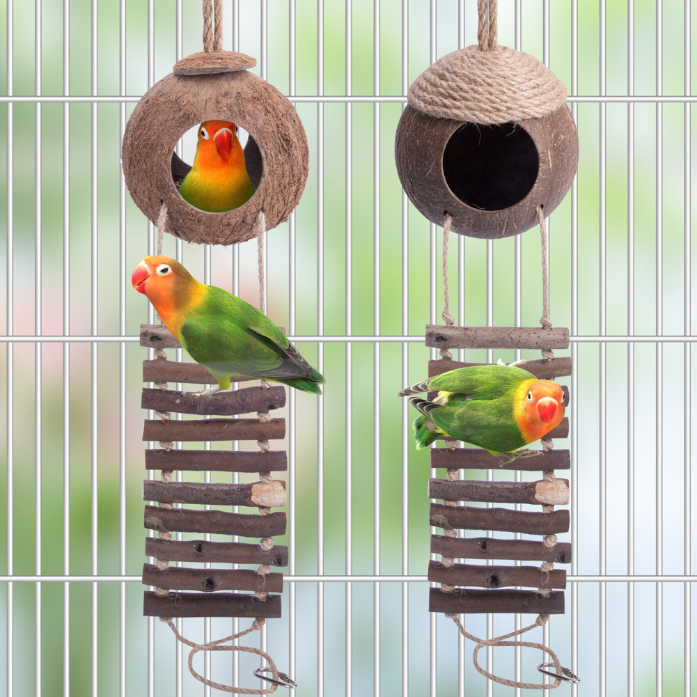 Natural Coconut Shell Bird Cage With Ladder Nesting House Bird Cages ...