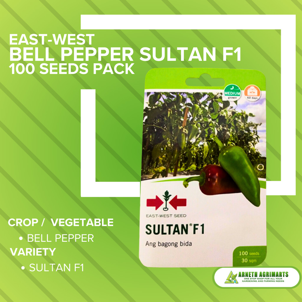ARNETH EAST WEST SEEDS SULTAN F1 VARIETY CONICAL SWEET PEPPER | Shopee ...