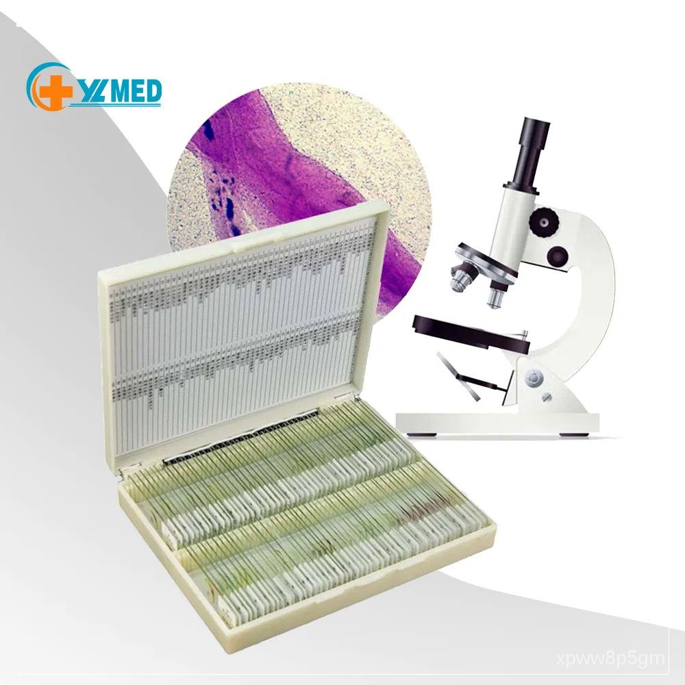 100 PCS Prepared Human histology Tissue Sections Histology Specimen ...