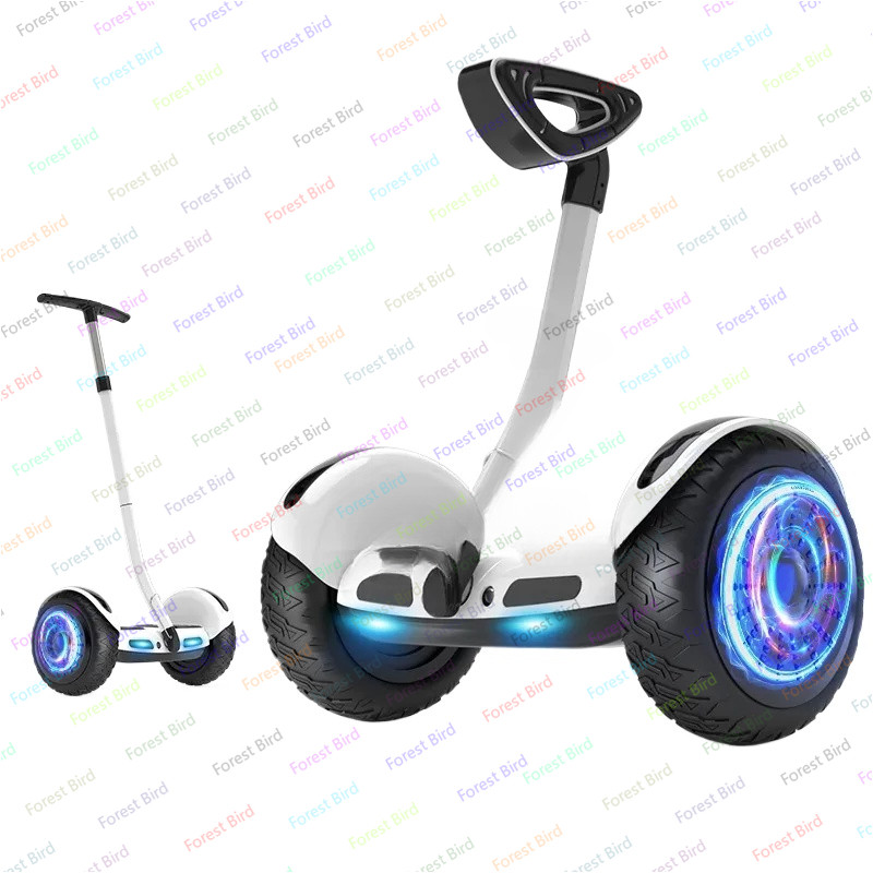 2 Wheel Stand Up Self Balancing Hoverboard custom 8/10 inch 36/54V Kids ...