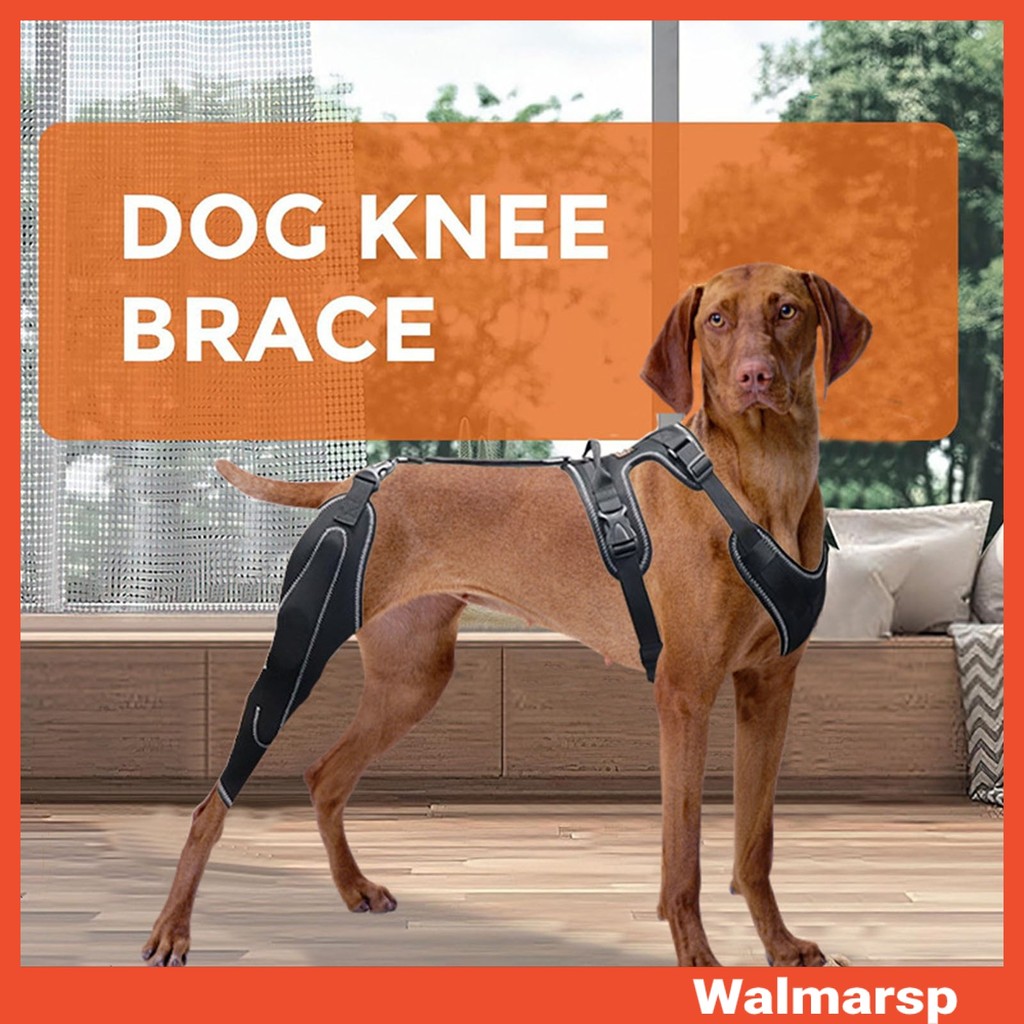 TF* Pet Leg Support Brace Orthopedic Hind Leg Support for Dogs Dog Knee ...