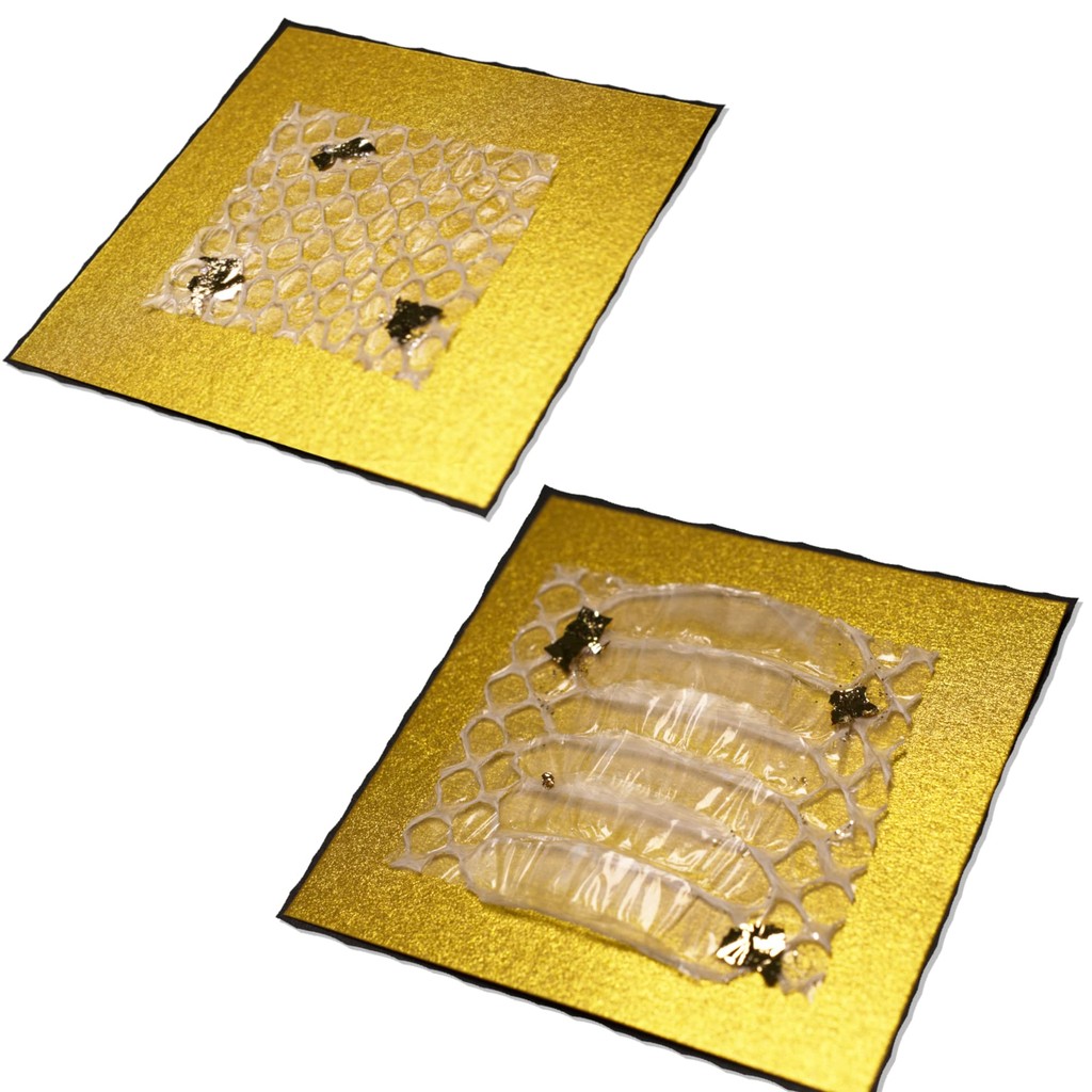 【Direct From Japan】 [Prayed at Iwakuni White Snake Shrine (Prayer every ...