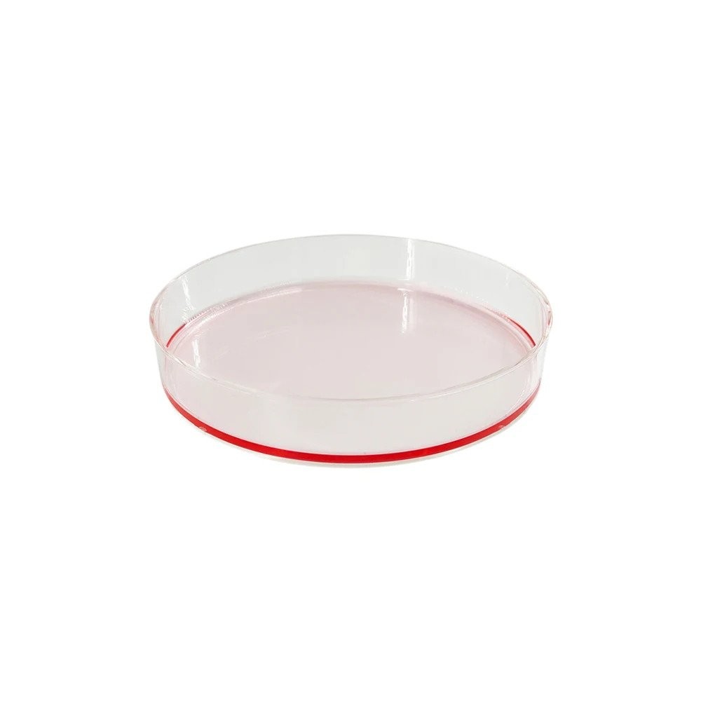 Labmore Laboratory Disposable 35mm Cell Culture Dish | Shopee Philippines
