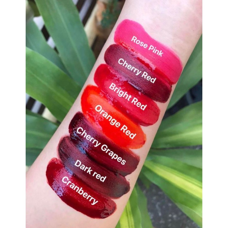 10ML[T+Semi-Gel=kd/Tint'GX-Rebranding-d(send-TyourcZ-ownje!layout ...