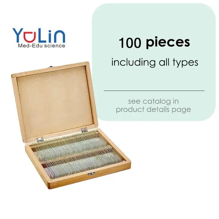 Yulin Biology Human Histology Glass Prepared Microscope Slide ...