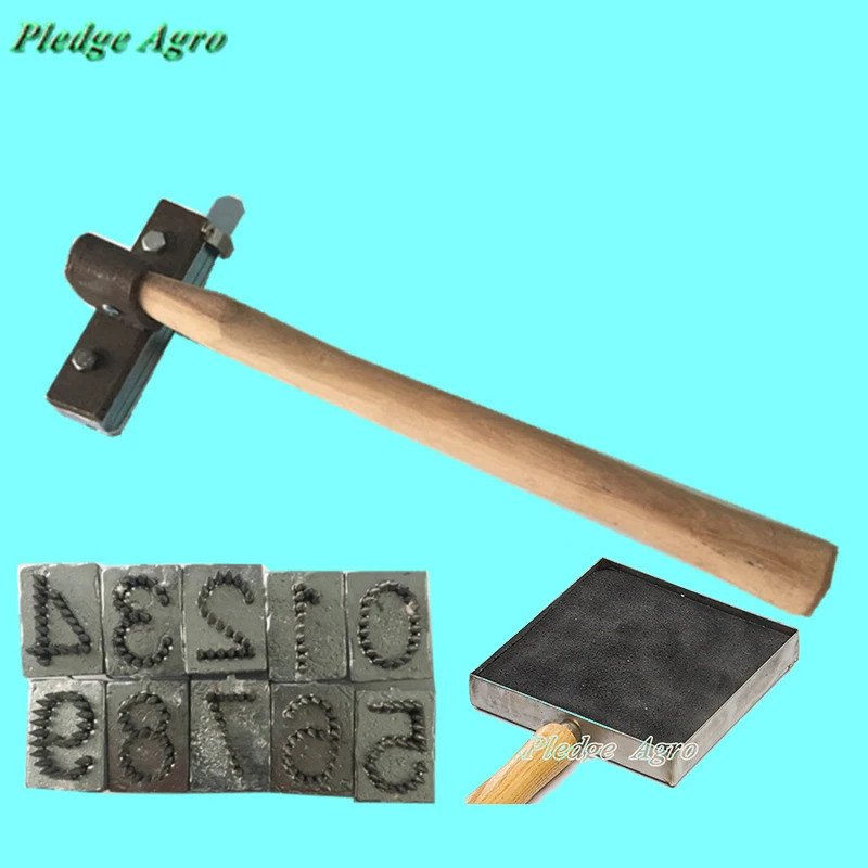 Taoo Hammer Pig Veterinary Identification Stamp Instruments Identify ...