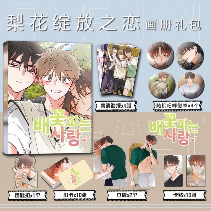 ღKorean Bomtoon Double Male BL Manhwa 배꽃 피는 사랑 Badges Picture Album Acrylic Stand FIgure Poster ...