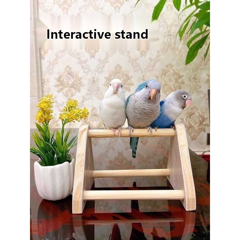 Parrot Toy Solid Wood Stand Interactive Station Magic Grab Stick Xuan ...
