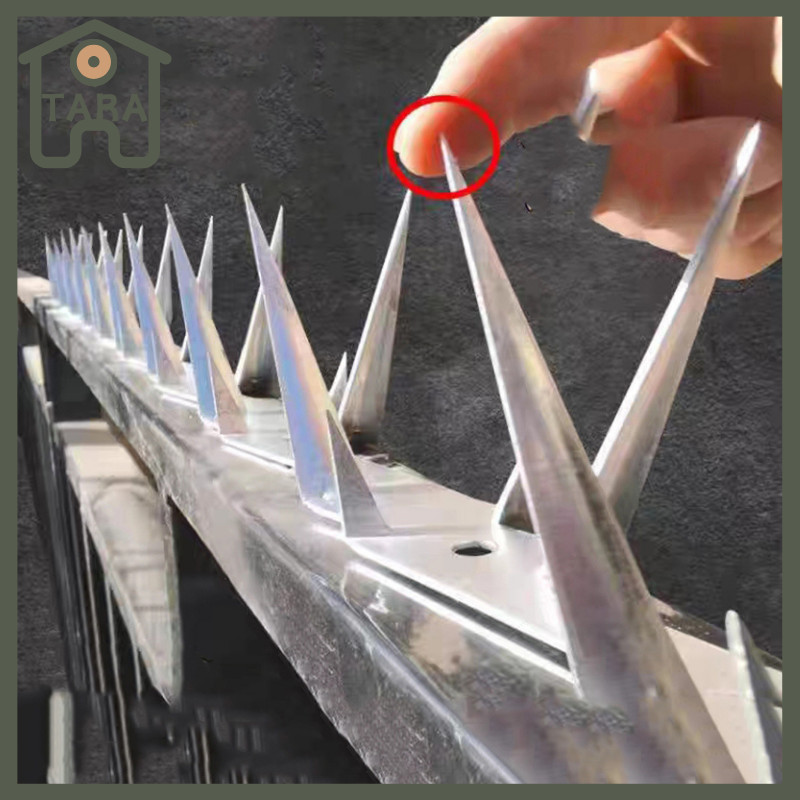 Wall Spike Fence Spike Anti Theft Anti-Climb Sharp Wall Spike Security ...