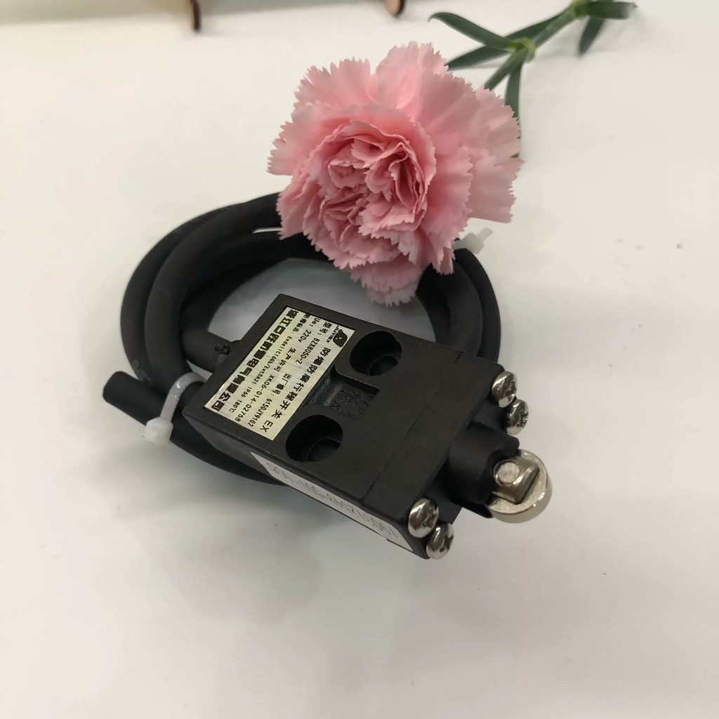 COD/ BZX8050 Explosion-proof and Corrosion-resistant Limit Switch, Z ...