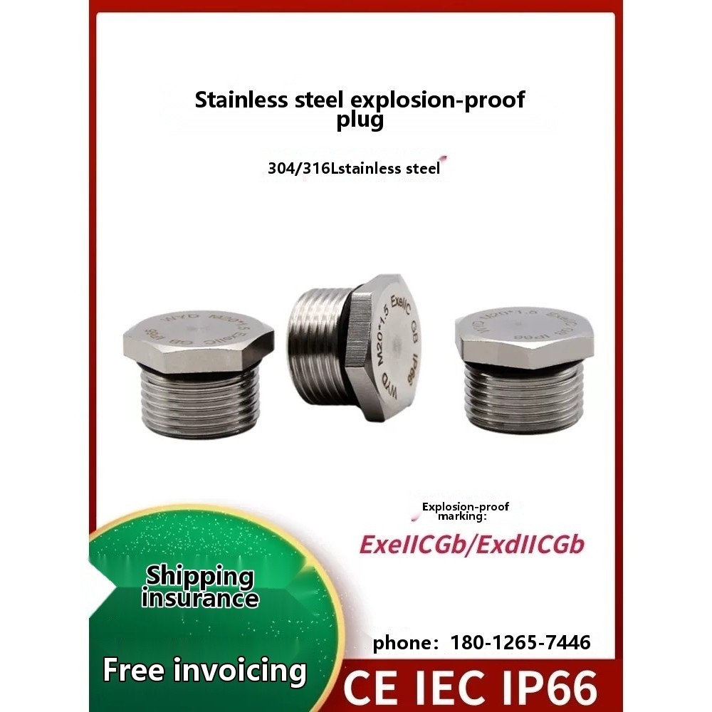 COD/WYD 304 stainless steel explosion-proof plug, blind plug ...