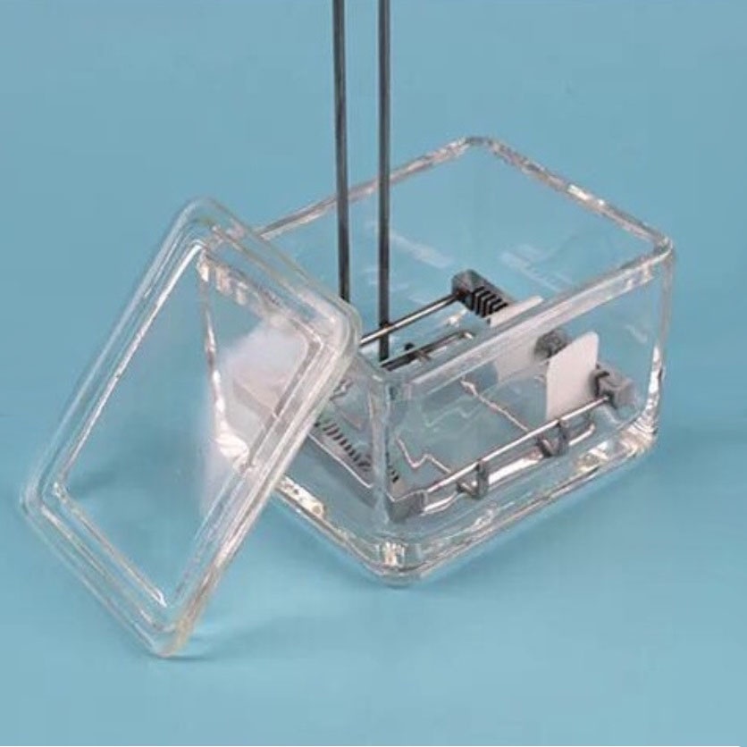 【COD】Lab Histology Microscope Tissue 20 pieces Slide Glass Staining Jar ...