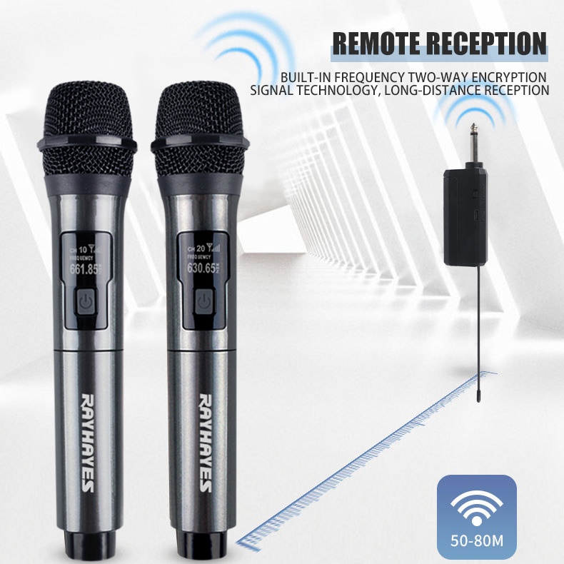 RAYHAYES Professional Wireless Microphone UHF Handheld Rechargeable ...
