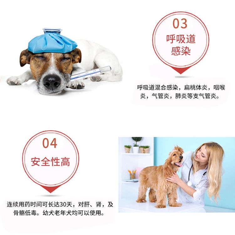 Synulox 50mg Palatable Tablets Cold and Cough Skin Infections Urinary ...