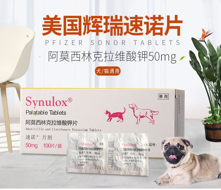 Synulox 50mg Palatable Tablets Cold and Cough Skin Infections Urinary ...