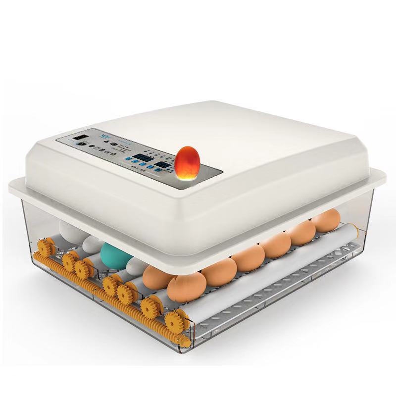 220V Eggs Incubator 12/16/30/36/64/120 Digital Fully Automatic Constant ...