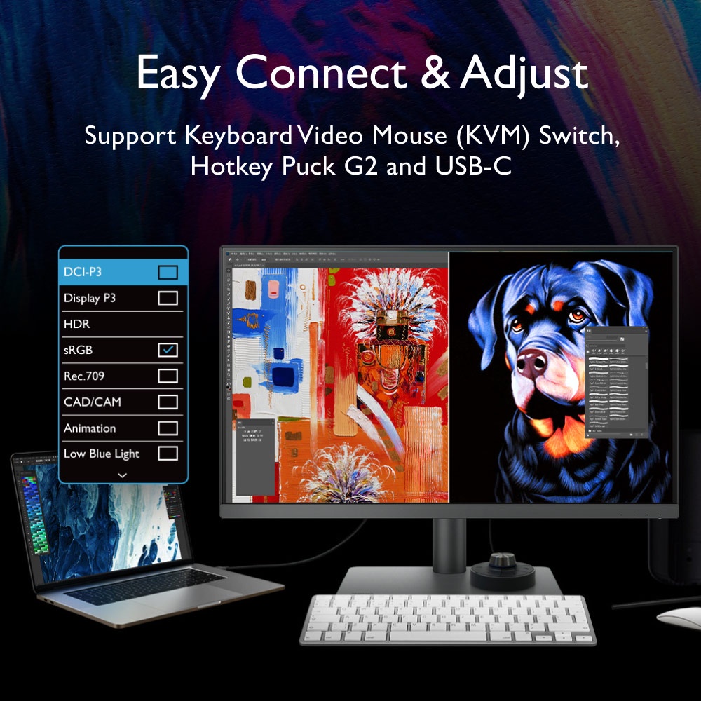 BenQ PD3205U 4K HDR10 99% sRGB Rec.709 Delta E 3 Adjustable Vertical ...