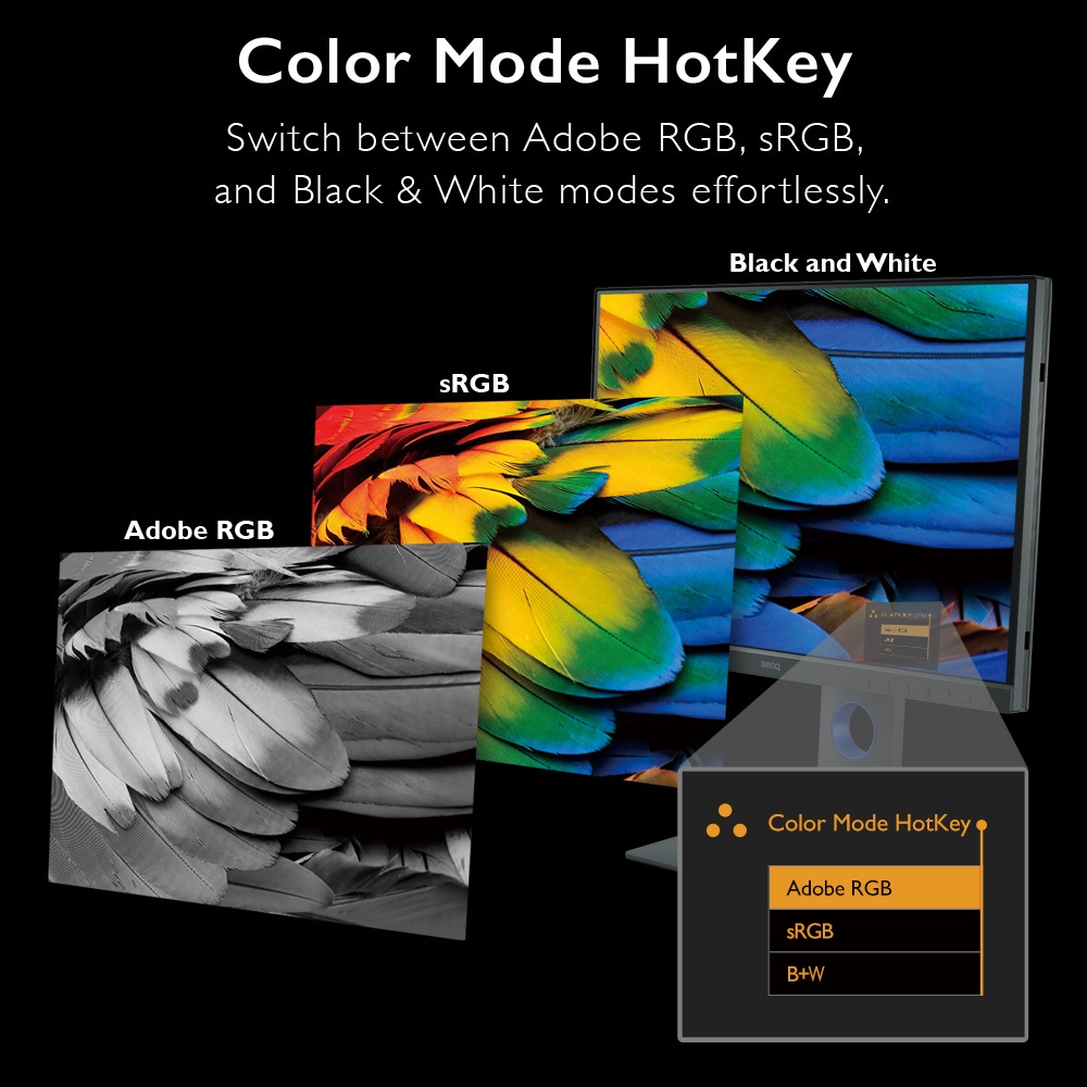 BenQ SW240 1920x1200 99% Adobe RGB 100% sRGB DCI-P3 Color Management ...