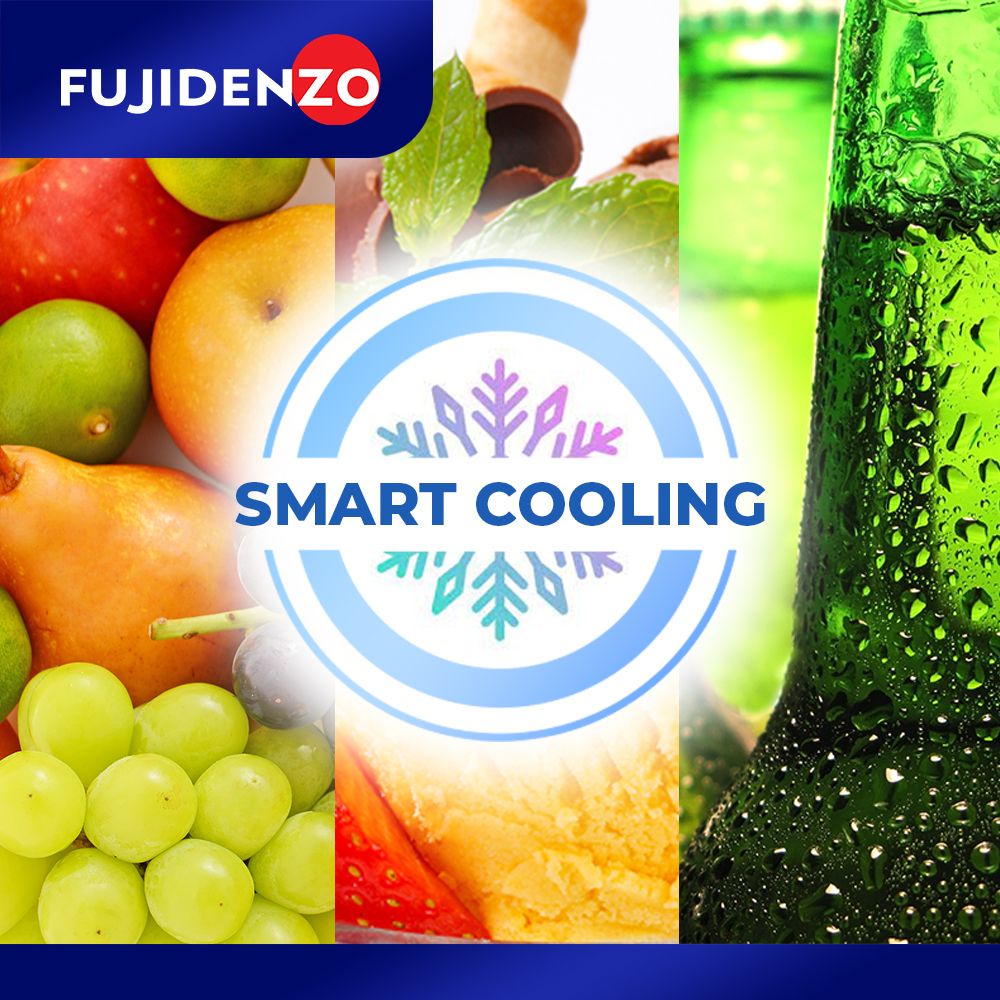 Fujidenzo 10 cu. ft. HD Inverter Two Door No Frost Refrigerator INR ...