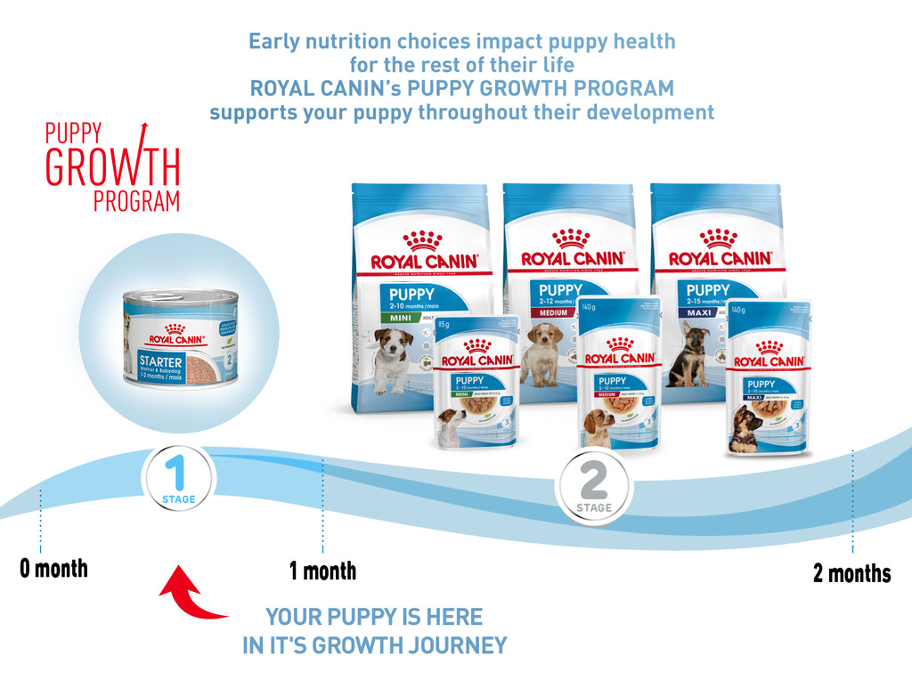 Royal Canin Starter Mousse Mother & Babydog (195g x 3 cans) Wet Food - Canine Health Nutrition ...