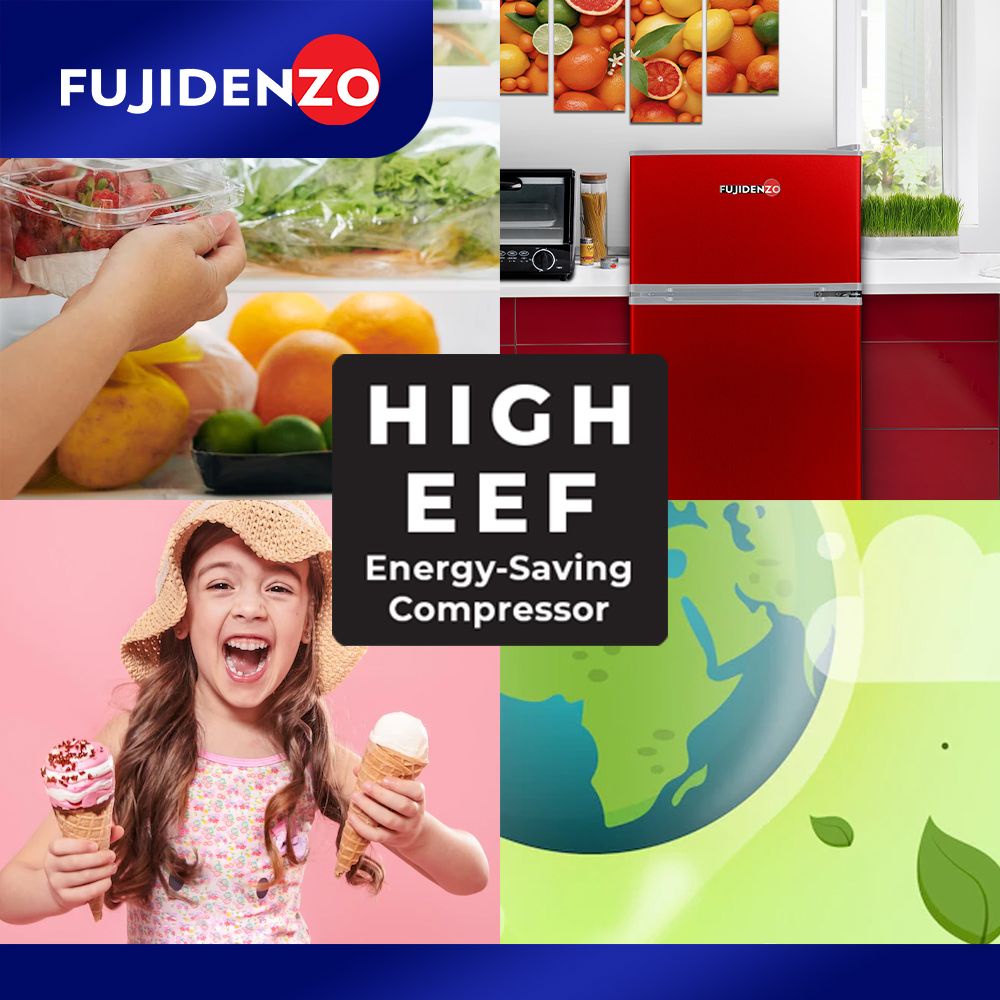 Fujidenzo 3.5 cu. ft. Two Door Personal Refrigerator RDD-35 T (Titanium ...