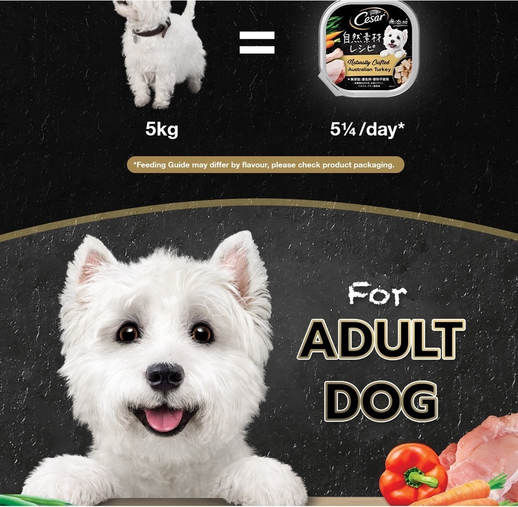 CESAR Natural Crafted Premium Dog Food 85g | Shopee Philippines