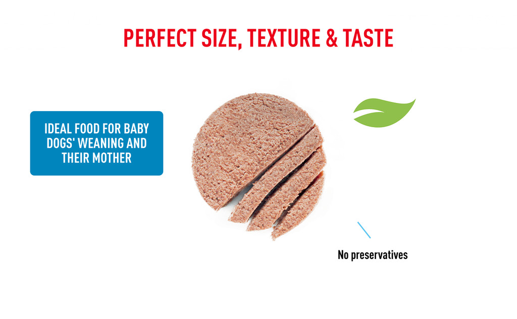 Royal Canin Starter Mousse Mother & Babydog (195g x 36 cans) Wet Food - Canine Health Nutrition ...