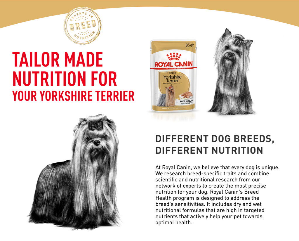 Royal Canin Yorkshire Terrier Adult (85g x 12 pouches) Wet Dog Food ...