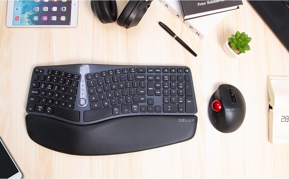 Delux MT1 Wireless Bluetooth 2.4G Ergonomic Vertical Removable ...
