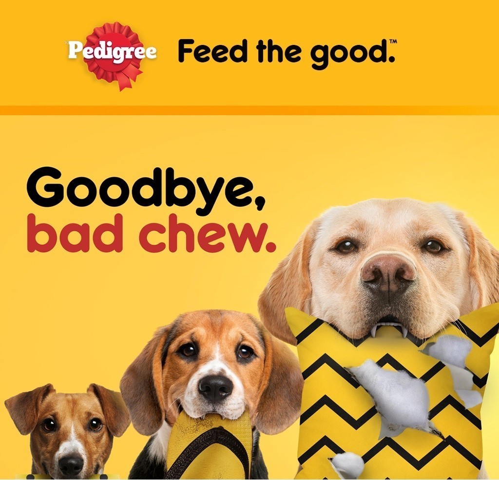 PEDIGREE Dog Treats Good Chew Dog Treat for Medium Dogs in Beef Flavor ...