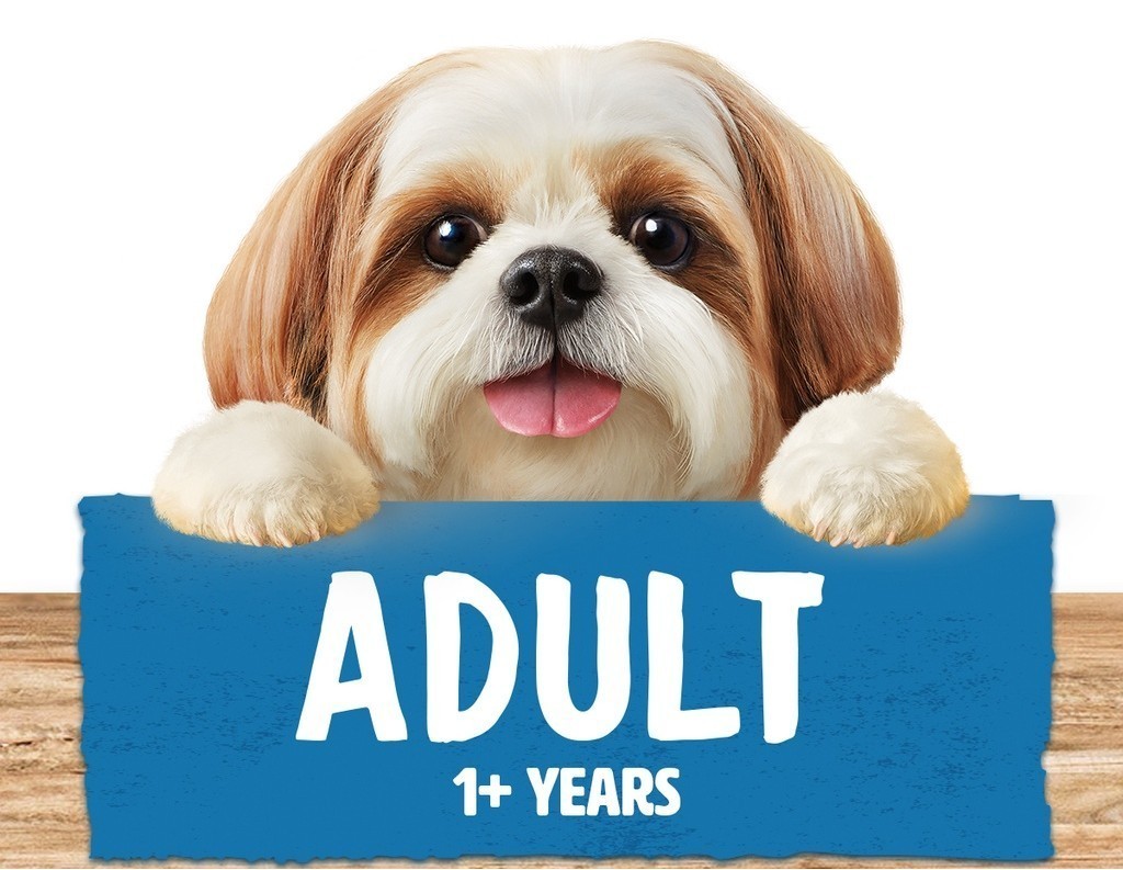 PEDIGREE Wet Food for Dogs – Dog Food for Adults with Beef Flavor in ...