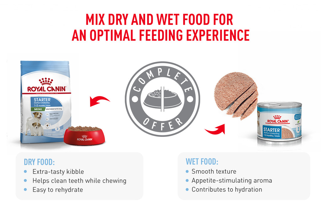 Royal Canin Starter Mousse Mother & Babydog (195g x 12 cans) Wet Dog Food - Canine Health ...