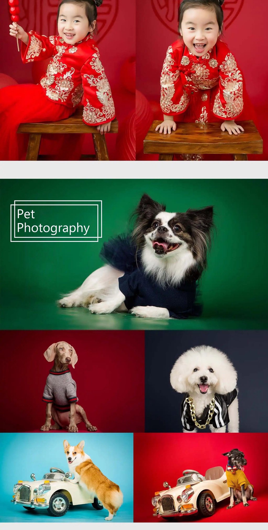 Pxel P272 2.7 x 10m Seamless Solid Color Paper Superior Savage Photo ...