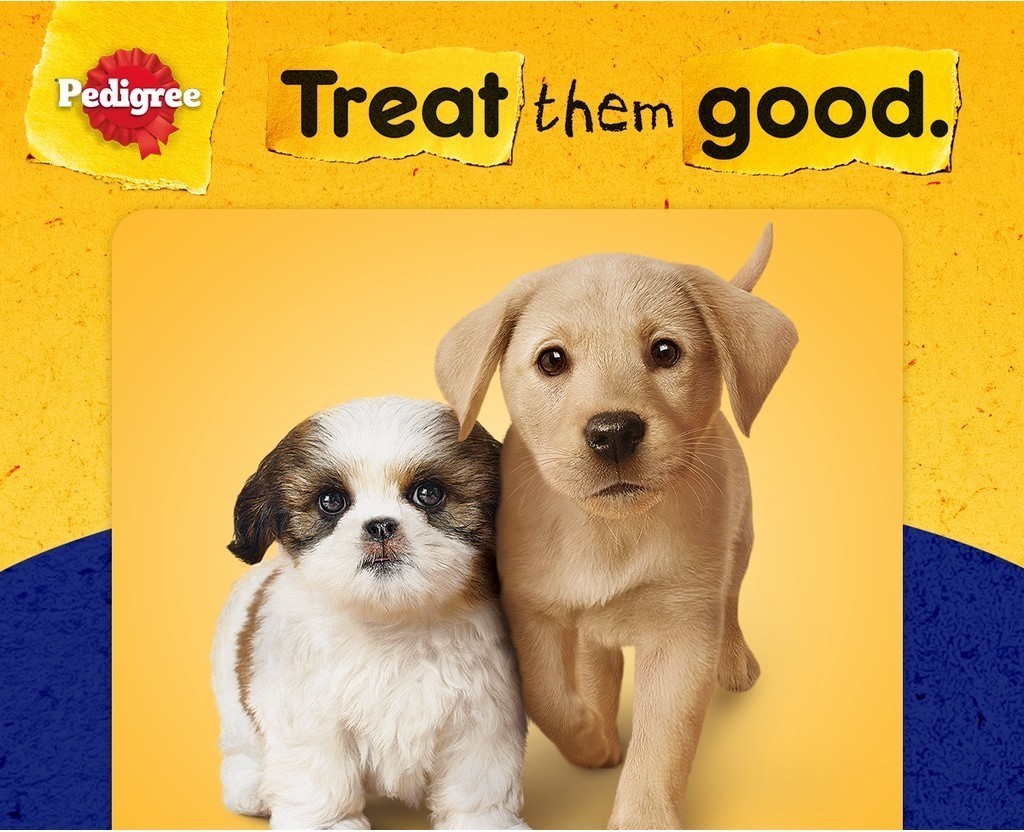 PEDIGREE Dentastix Puppy Dog Treats 56g (12-Pack) | Shopee Philippines