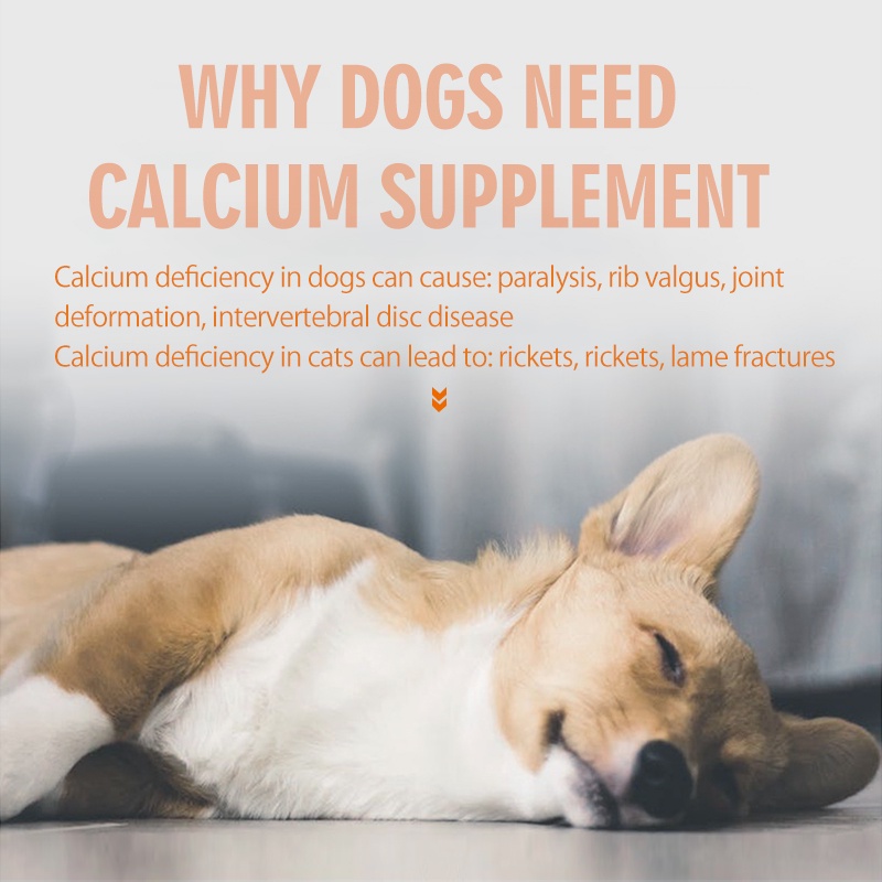 PUAINTA Calcium for Dogs and Cats Strong Bone Calcium Magnesium Vitamin ...
