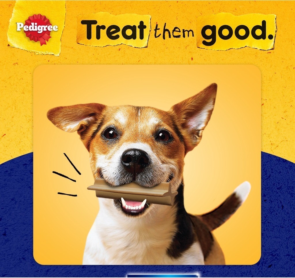 PEDIGREE Dentastix Dog Treats Medium Dogs 180g (3-Pack) | Shopee ...