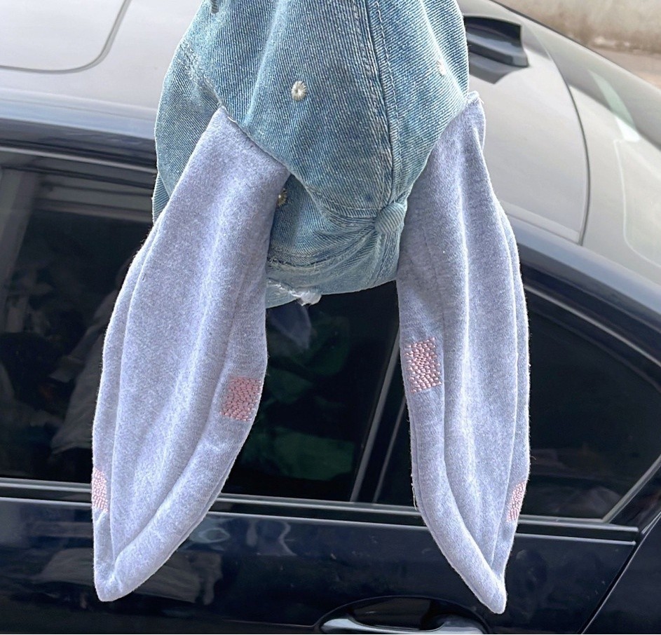 Kpop Idol Album OMG HANNI Same Style Rabbit Ears Korean Fashion Duck ...