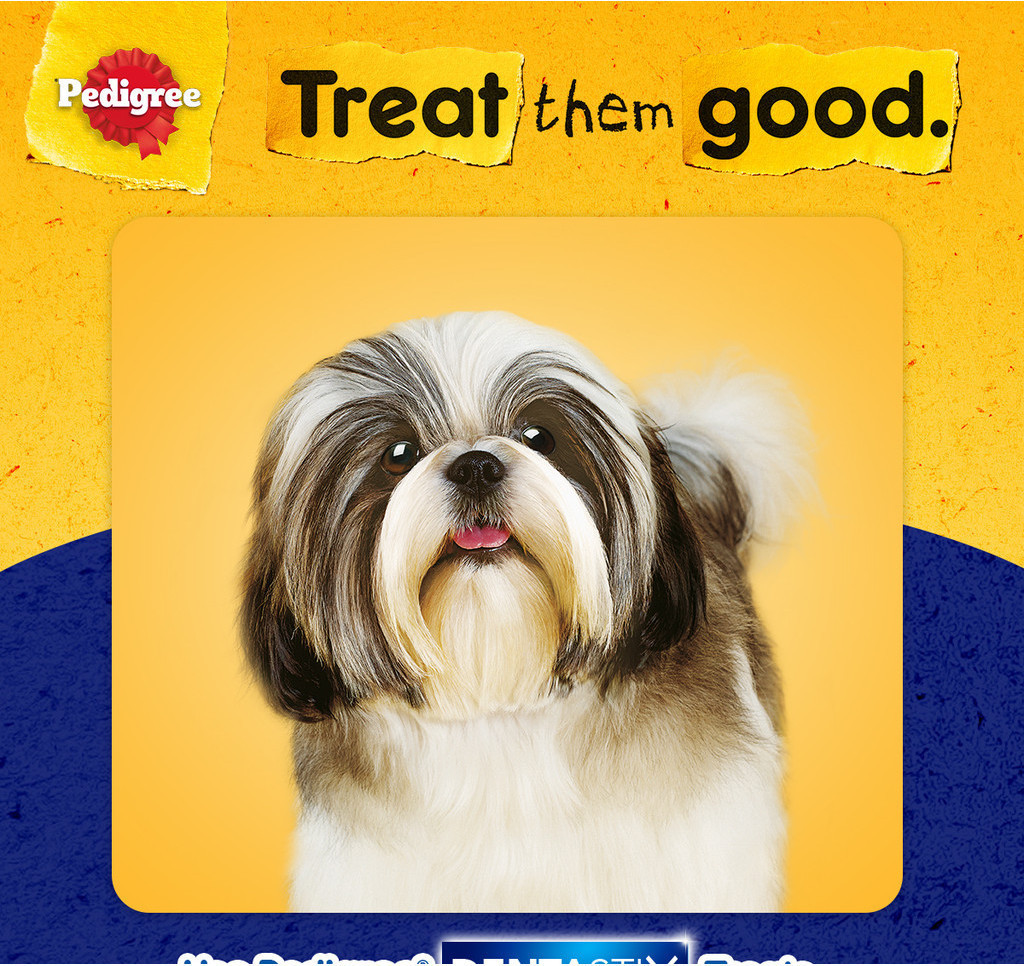 PEDIGREE DentaStix Dog Treats for Adult Small Breed Dogs Weekly Pack 110g (6-Pack) | Shopee ...