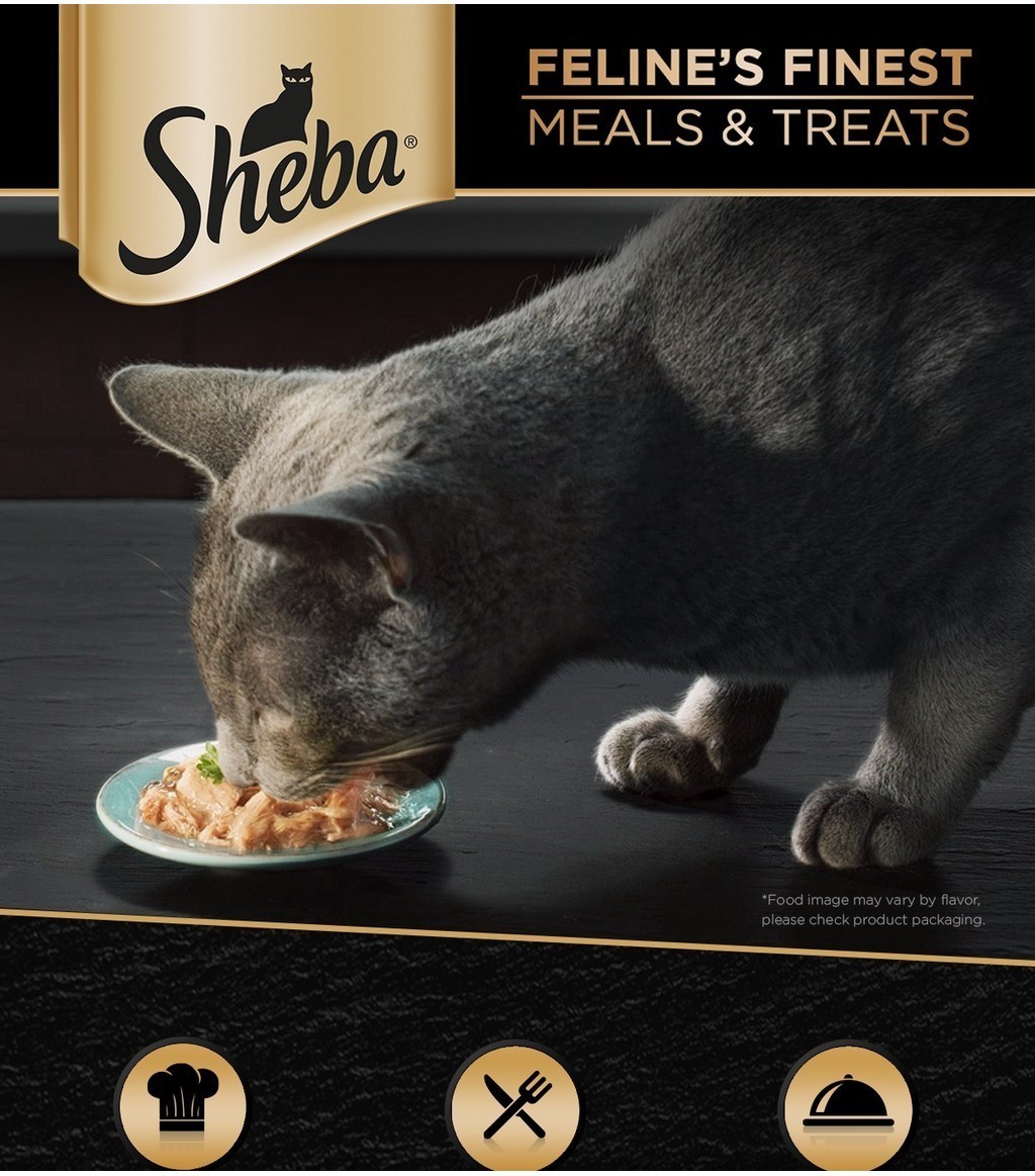 SHEBA Wet Cat Food (3-Pack), 70g. | Shopee Philippines