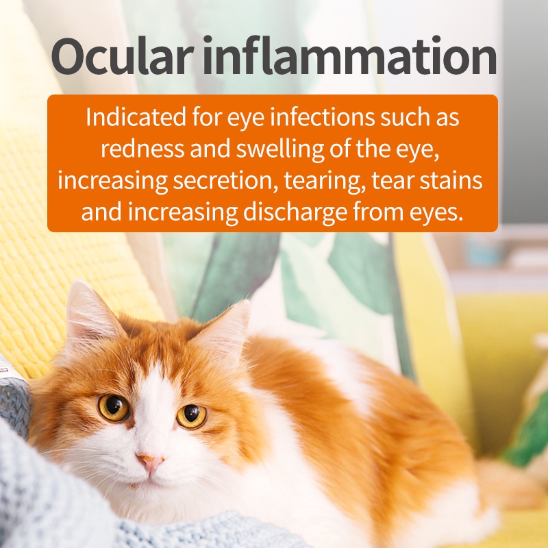 PUAINTA Pets Anti Inflammatory Medicine For Dogs and Cats Skin ...