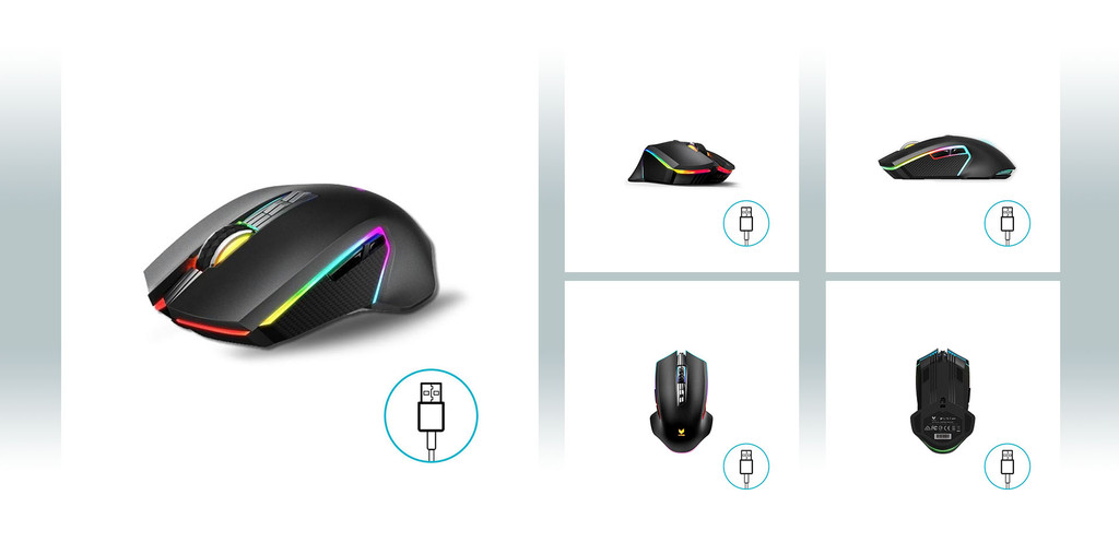 Rapoo V20 PRO Optical Gaming Mouse 8000dpi | EJDalanon Enterprise ...