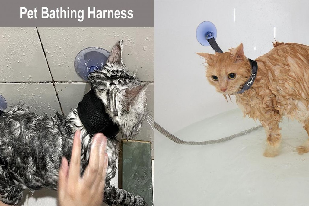 Adjustable Pet Bathing Device Easy to Carry Pet Bathing Device ...