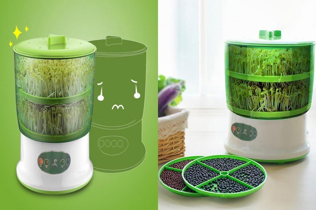 (CA)1 Set Bean Sprout Machine Automatic Soaking Rapid Germination Short ...