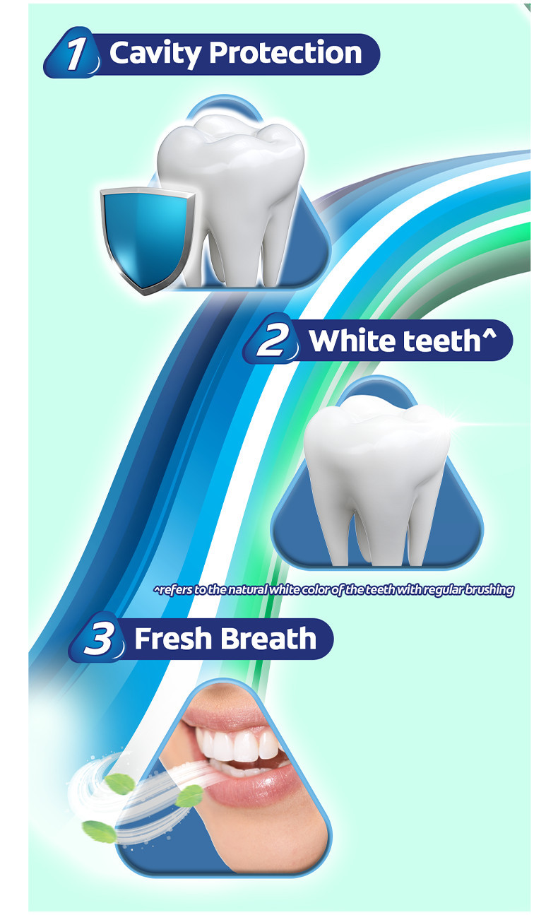 Colgate Triple Action Anti-Cavity Family Toothpaste Original Mint 175g ...