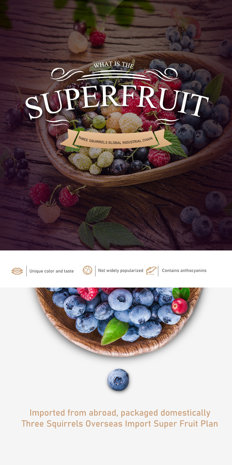 【Halal】Three Squirrels Dried Cranberries (100g) | Shopee Philippines